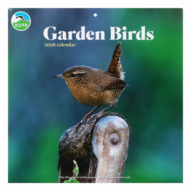 RSPB Garden Birds 2026 Square Calendar | Temptation Gifts