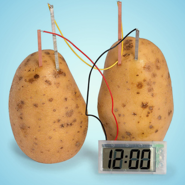Funtime Potato Clock | Temptation Gifts