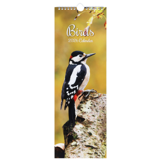 The Gifted Stationery Co Birds 2026 Slim Calendar | Temptation Gifts